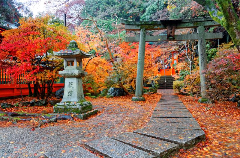 Japan Autumn Leaves Forecast: Best Time to View Fall Foliage 2024