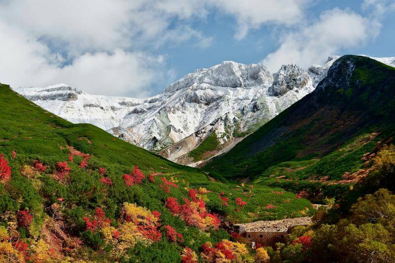 Hokkaido Autumn 2024: See the Earliest Fall Foliage in Japan