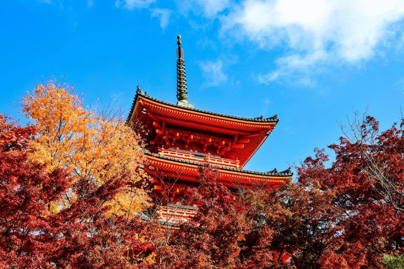 Kyoto Fall Foliage 2024: A Guide to Viewing Autumn Leaves