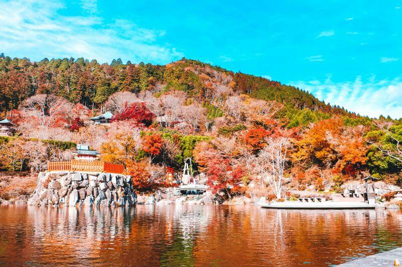 Osaka Fall Foliage 2024: 13 Best Spots to See Autumn Leaves
