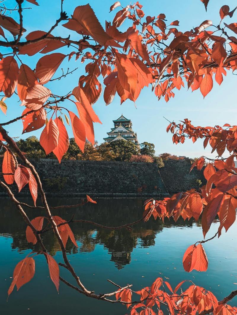 Osaka Fall Foliage 2024: 13 Best Spots to See Autumn Leaves