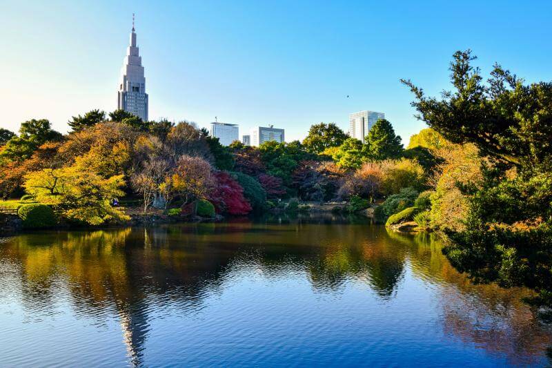 Fall Foliage in Tokyo: A Guide to Autumn Leaves Season 2024