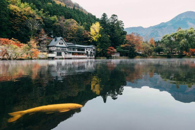 Autumn Leaves Kyushu 2024: 19 Best Spots to Enjoy Late Fall Foliage in ...