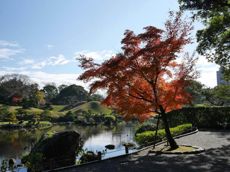 Autumn Leaves Kyushu 2024: 19 Best Spots to Enjoy Late Fall Foliage in ...