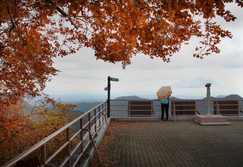 Nikko Fall Foliage 2024: 15 Best Spots to View Autumn Colors in Japan