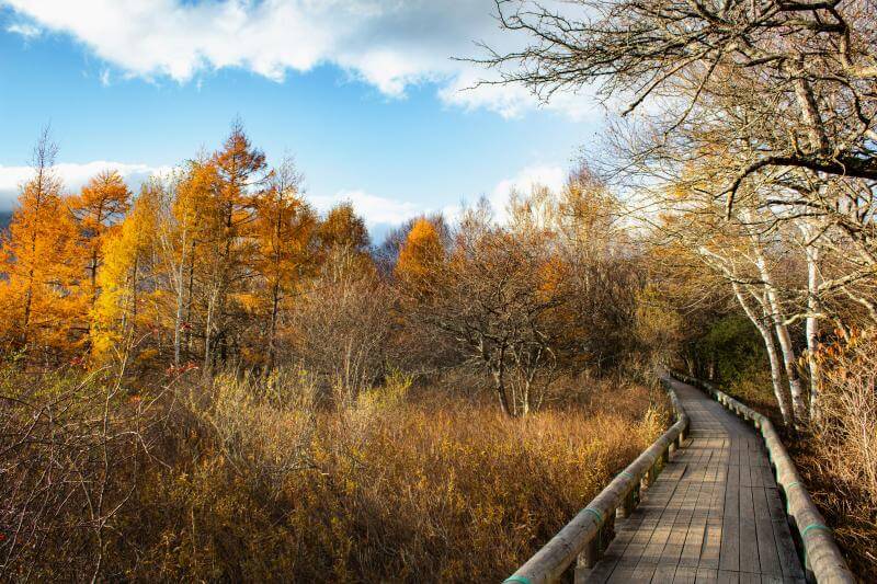 Nikko Fall Foliage 2024: 15 Best Spots to View Autumn Colors in Japan