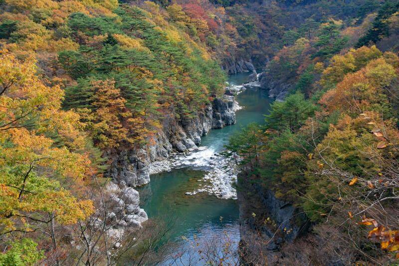 Nikko Fall Foliage 2024: 15 Best Spots to View Autumn Colors in Japan