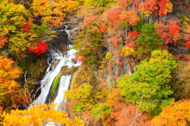 Nikko Fall Foliage 2024: 15 Best Spots to View Autumn Colors in Japan