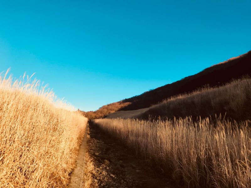 Hakone in Autumn 2024: Enjoy Best Fall Foliage in the Famous Onsen Town ...