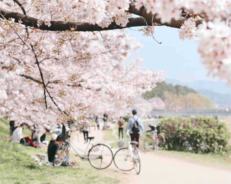 Things to Do in Japan in March 2025