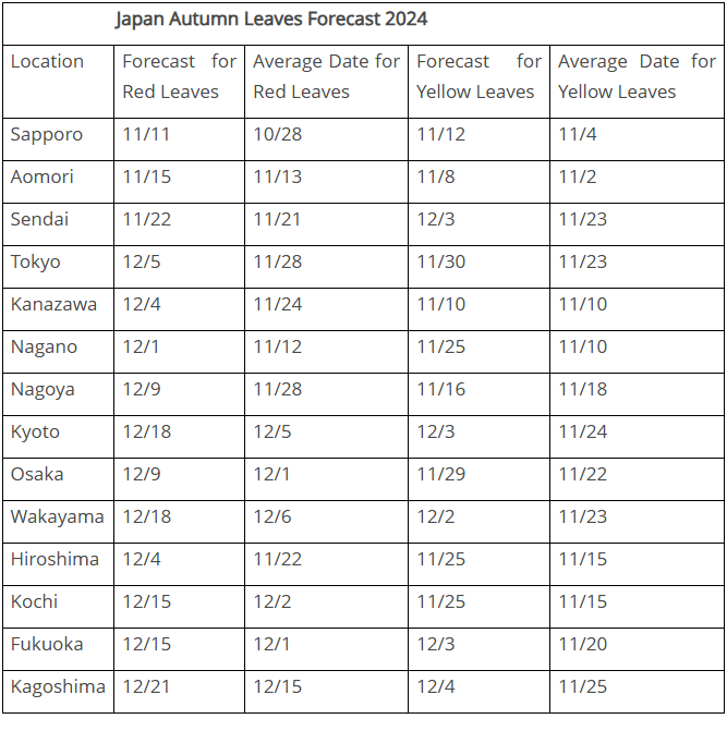 Fall Foliage 2025: Best Places to See Autumn Leaves in Japan
