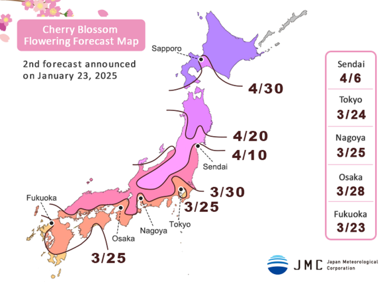 Sakura Forecast 2025: Best Time to See Cherry Blossoms in Japan