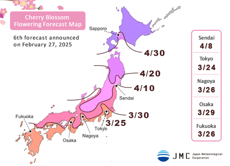 Japan Cherry Blossoms Season 2025: Complete Guide to Sakura