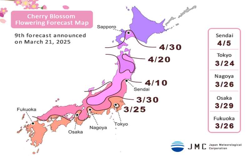 Sakura Forecast 2025: Best Time to See Cherry Blossoms in Japan